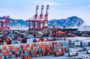 Terminal Operations Management System - DP World